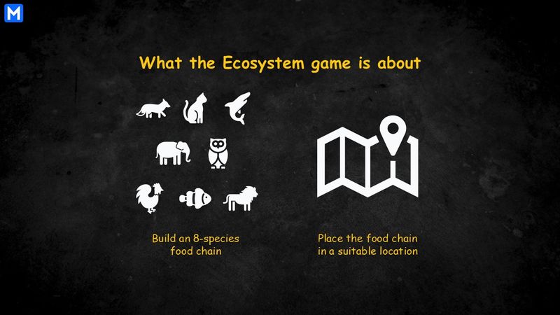 McKinsey Solve 2025: Ecosystem Deep Dive | MConsultingPrep