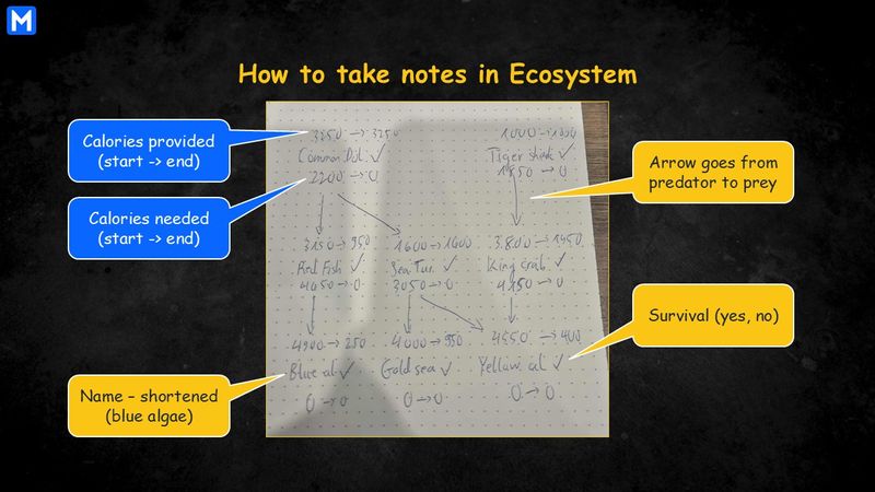 McKinsey Solve 2025: Ecosystem Deep Dive | MConsultingPrep